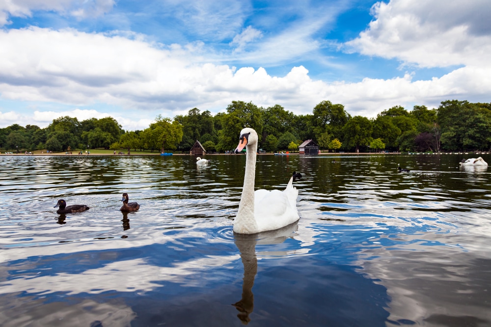 Hyde Park | Travel Guide